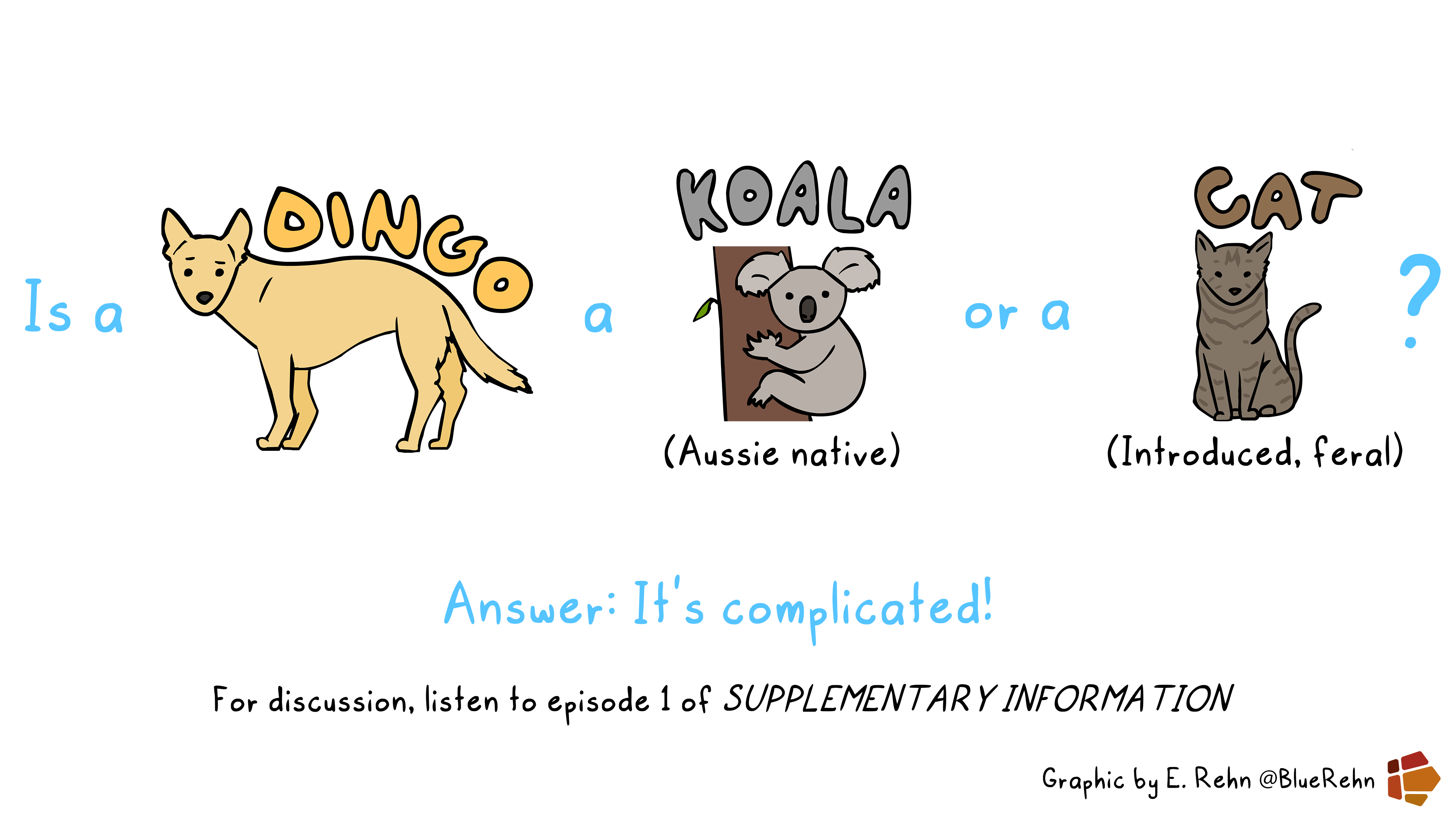 Supplementary Information podcast – Dr Emma Rehn