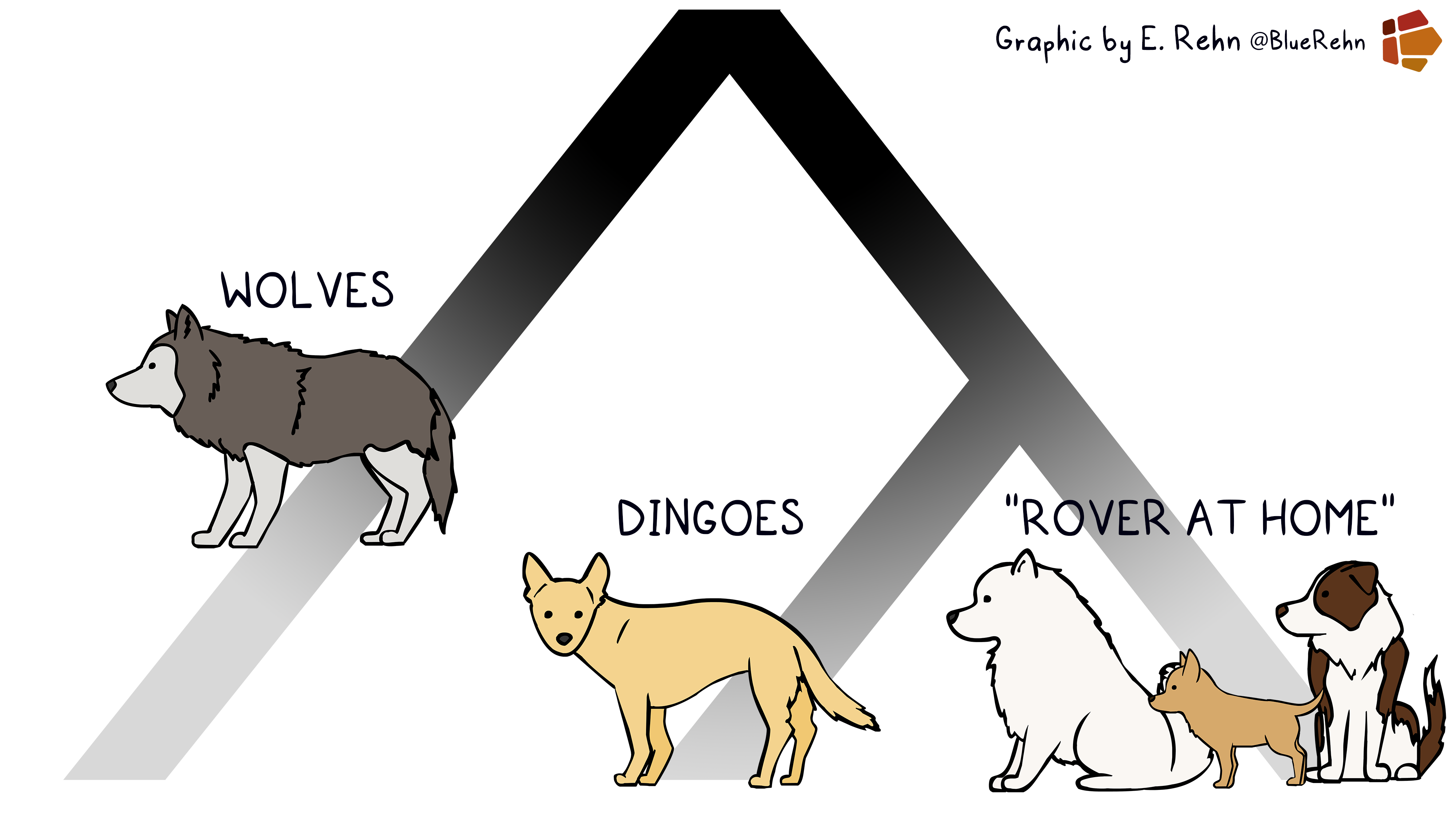 Supplementary Information podcast – Dr Emma Rehn