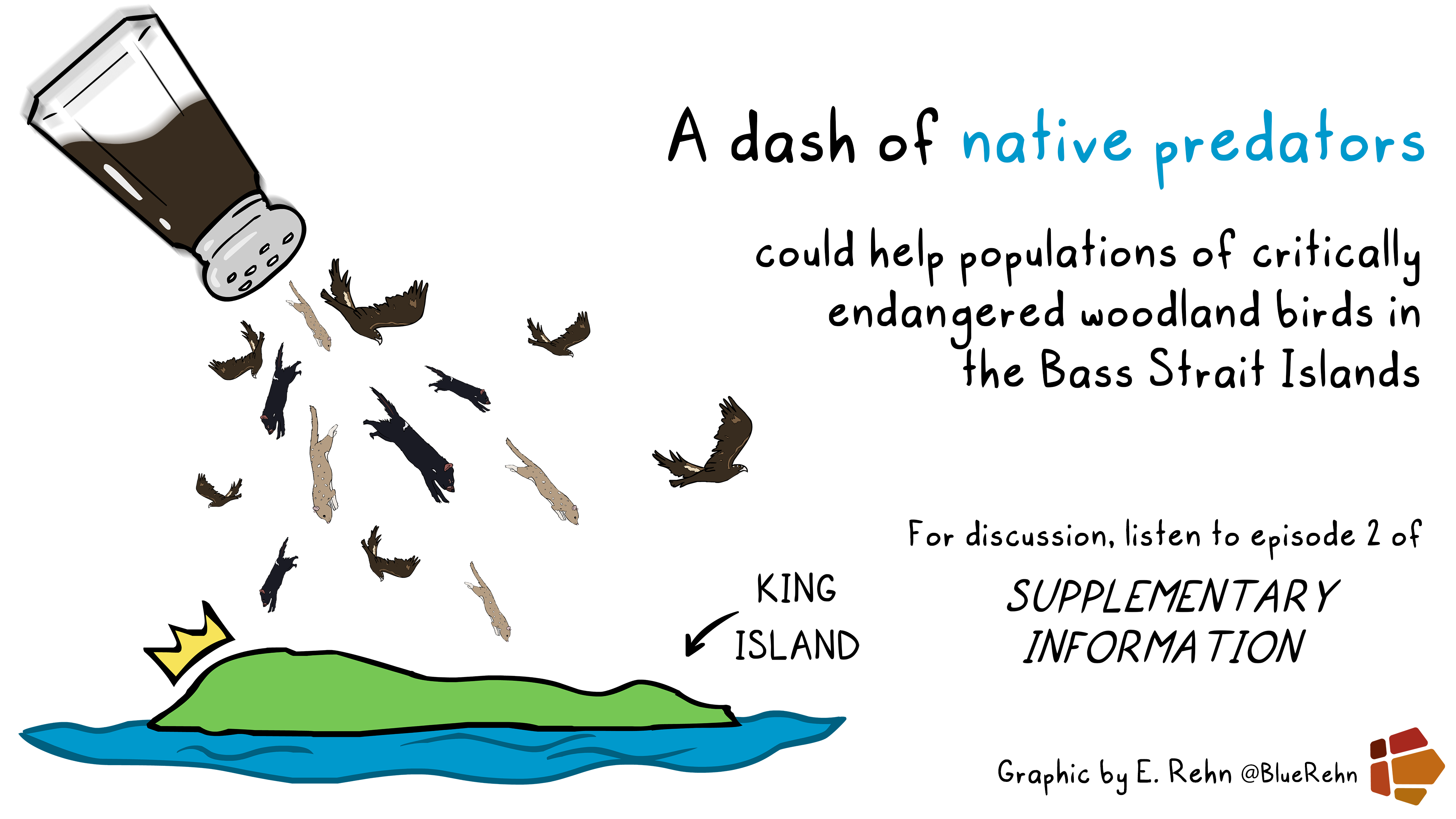 Supplementary Information podcast – Dr Emma Rehn