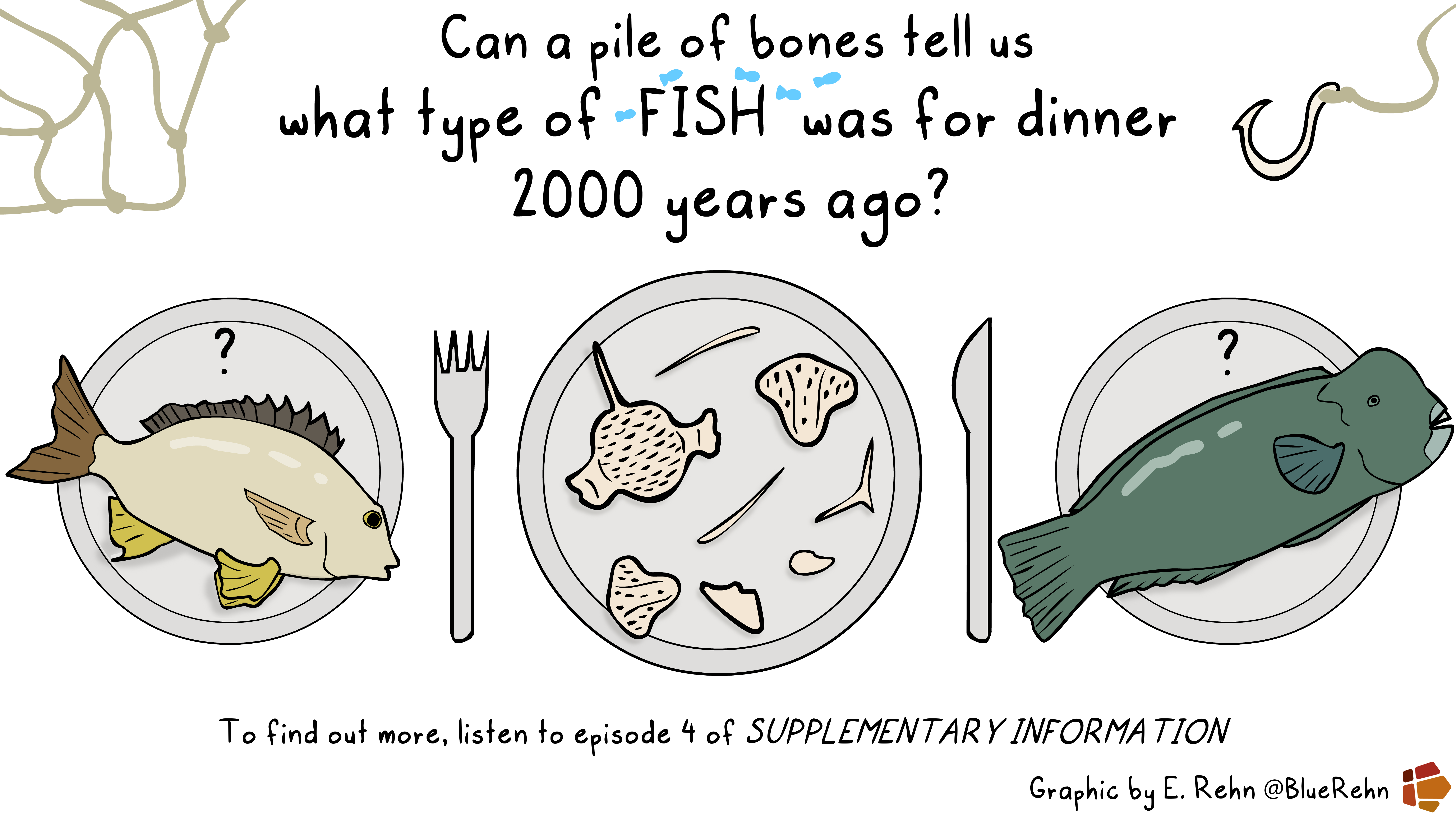 Supplementary Information podcast – Dr Emma Rehn