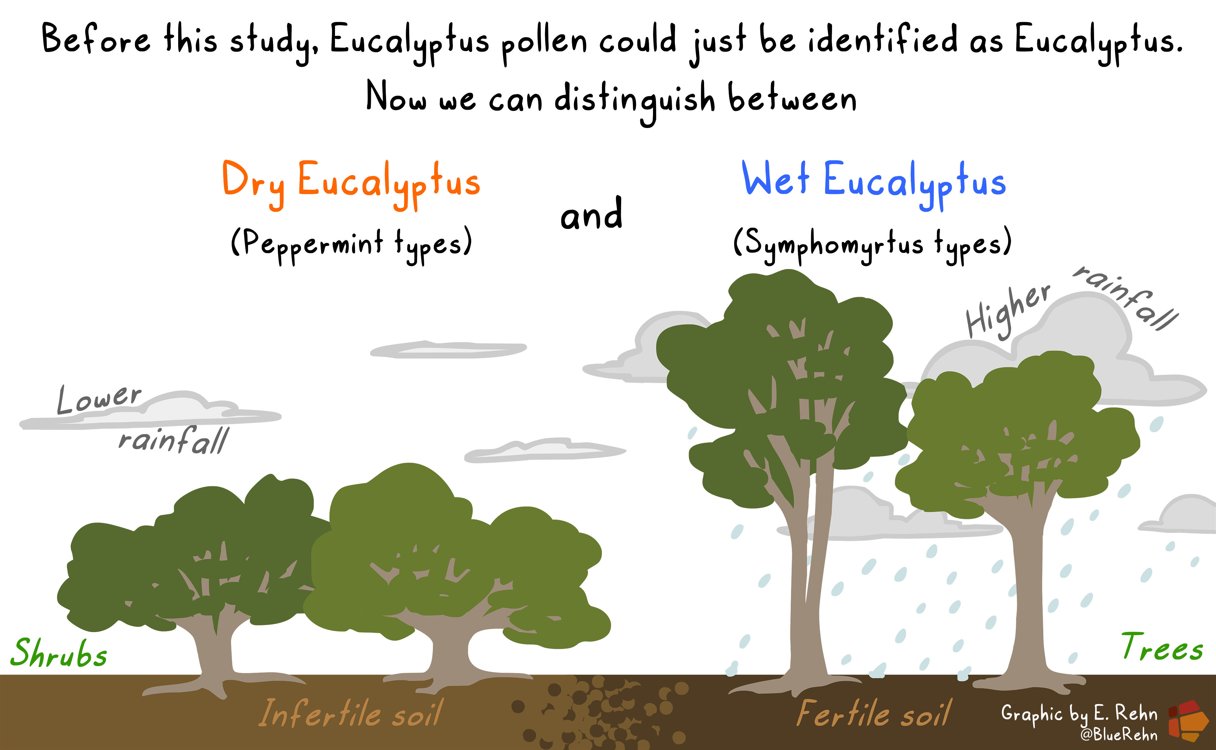 Supplementary Information podcast – Dr Emma Rehn