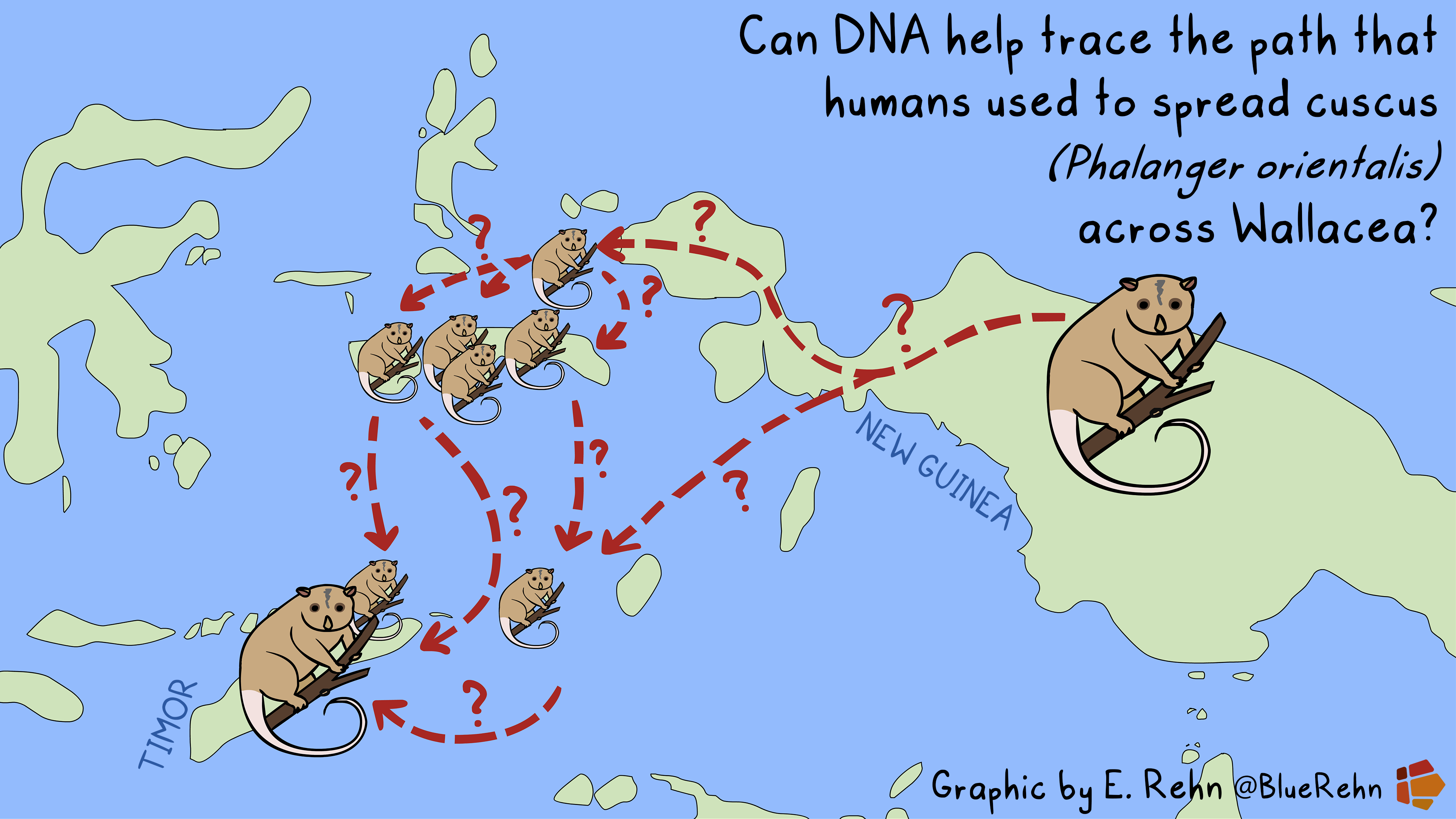 Supplementary Information podcast – Dr Emma Rehn