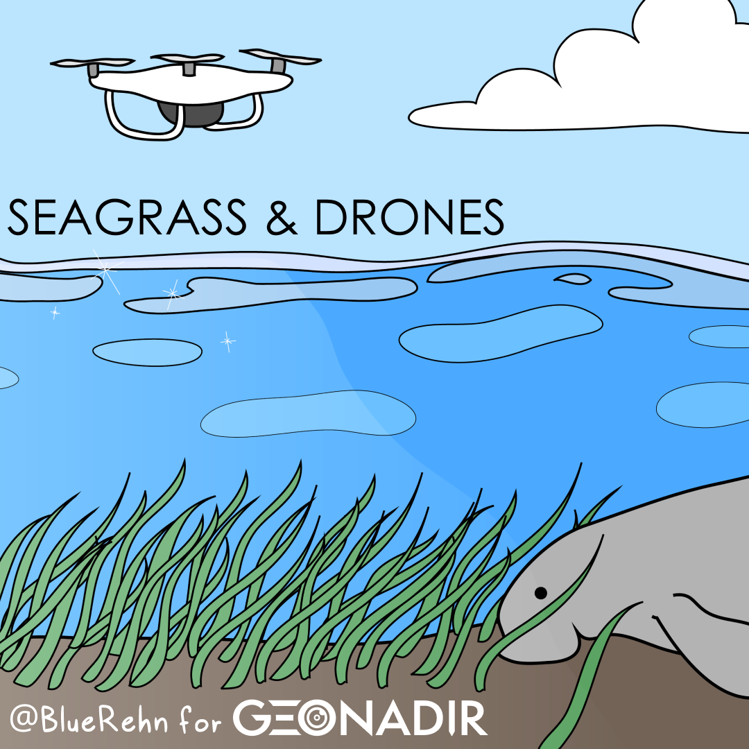 Drone facts with GeoNadir – Dr Emma Rehn