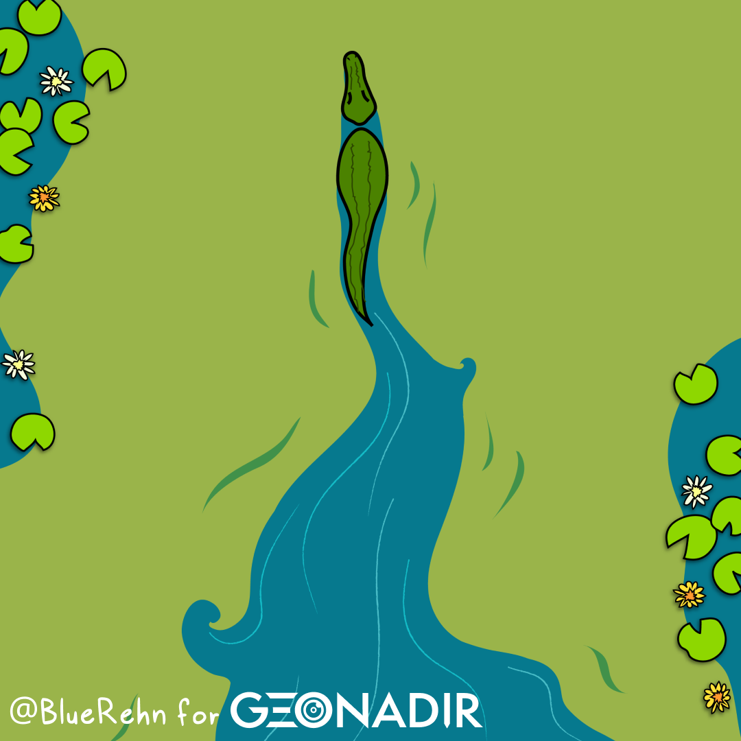 Drone facts with GeoNadir – Dr Emma Rehn