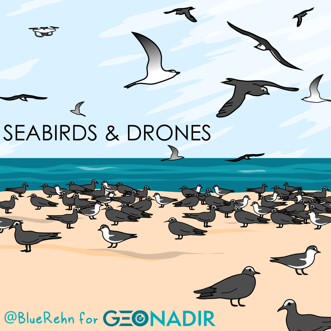 Drone facts with GeoNadir – Dr Emma Rehn